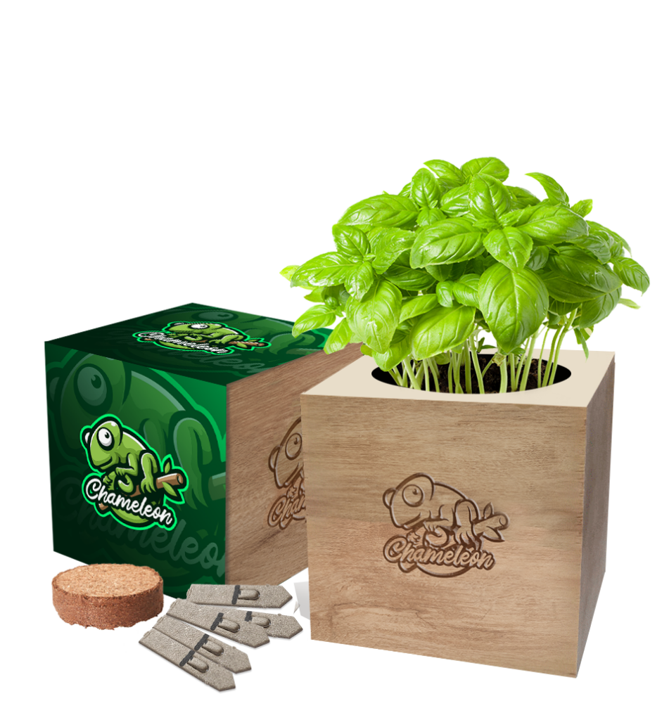 Desktop Cube Gardens – Firebrand Promotions